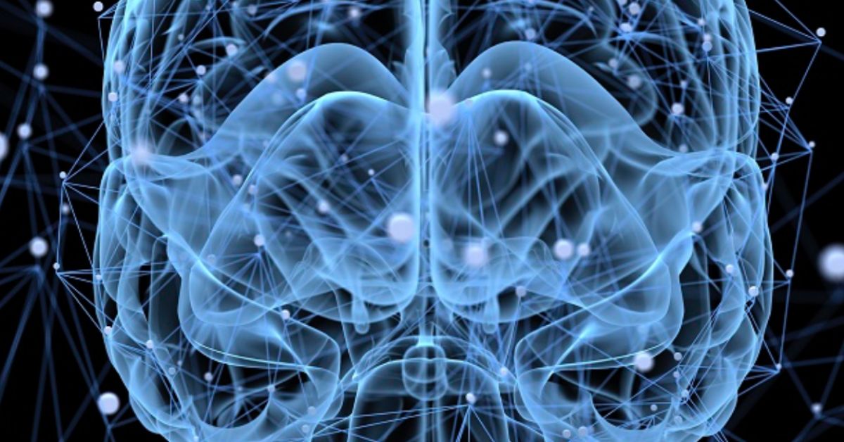 Brain Research - Bionics Institute